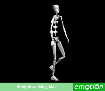 Motion male walk mocap