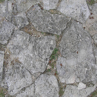 Texture Walk Stone Cobble