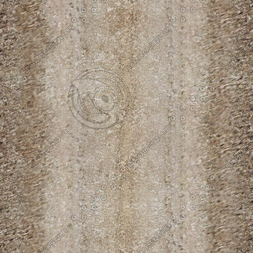 Texture JPEG rally mexico game