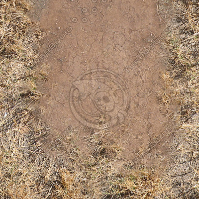 Texture Dirt Grass Road