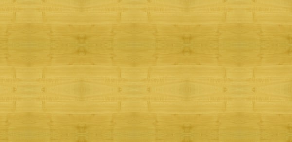 Texture JPEG Birch Veneer