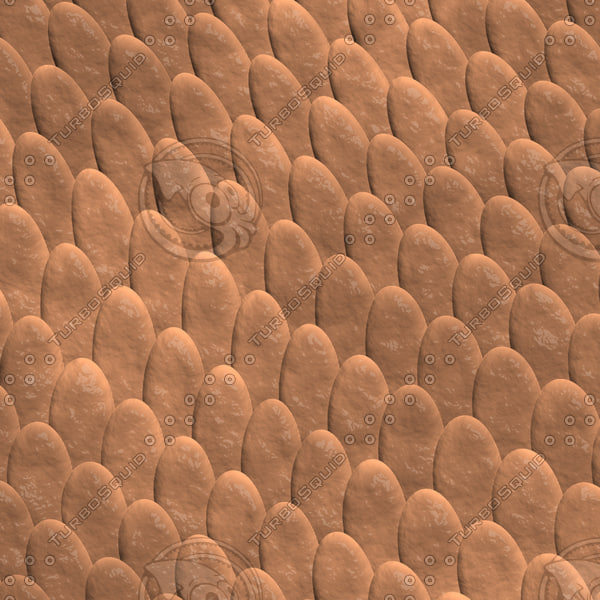 Texture JPEG Scale Scales pattern