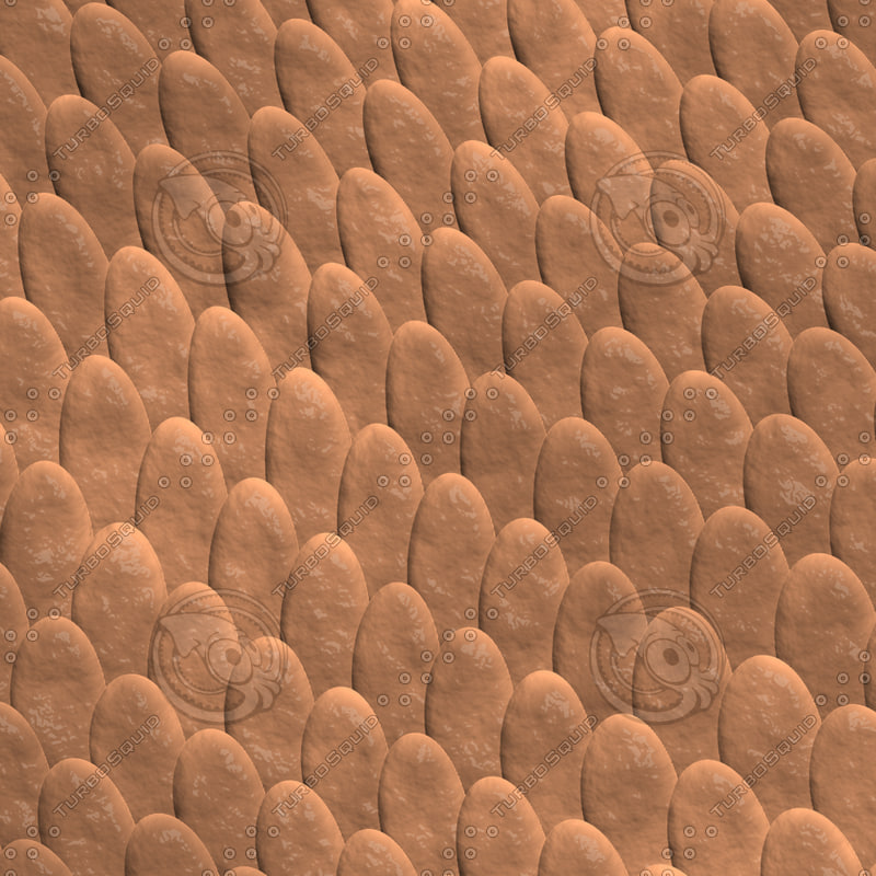 Texture JPEG Scale Scales pattern