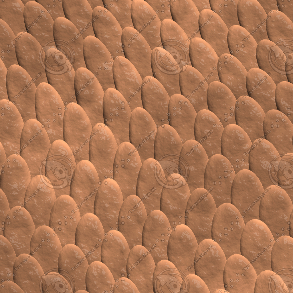 Texture JPEG Scale Scales pattern