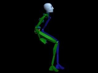 Motion Biovision common sit capture
