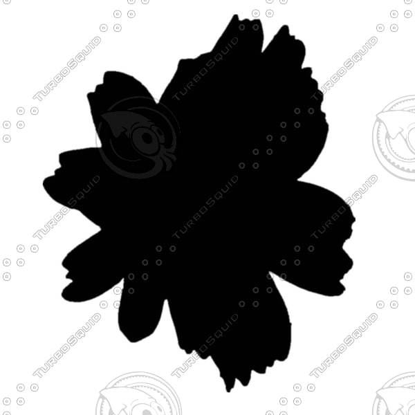 Texture TIFF Flower Plants Nature