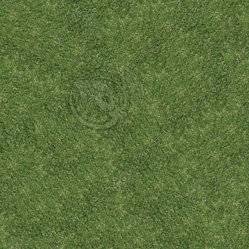 Texture JPEG Grass