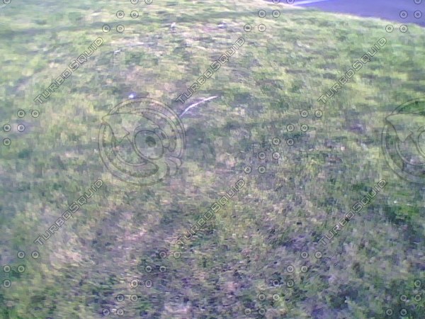 Texture Windows Bitmap Grass Green Ground