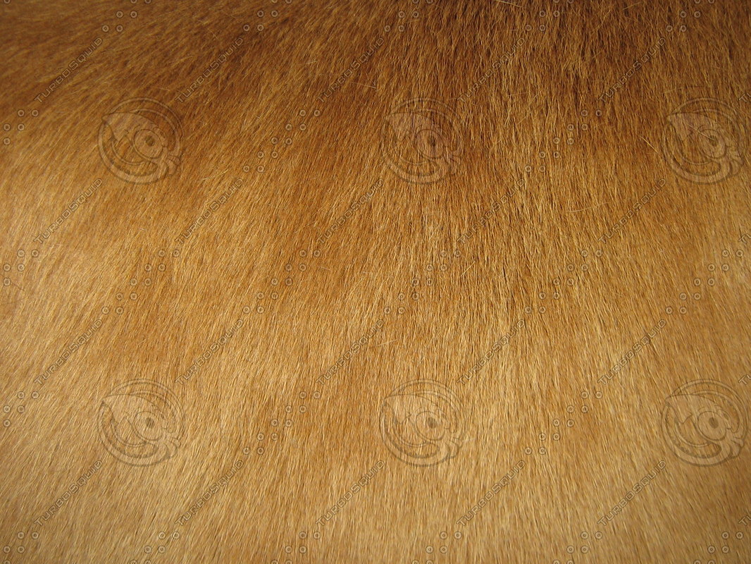 Texture JPEG COW HIDE