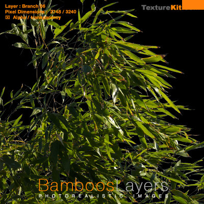 Texture Photoshop bamboo branch layers
