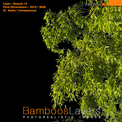 Texture Photoshop bamboo branch layers