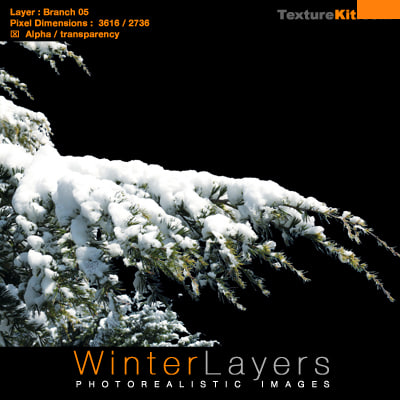 Texture Photoshop winter branch layers