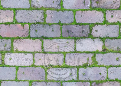 Texture TIFF mossy brick bricks