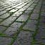 Texture TIFF mossy brick bricks