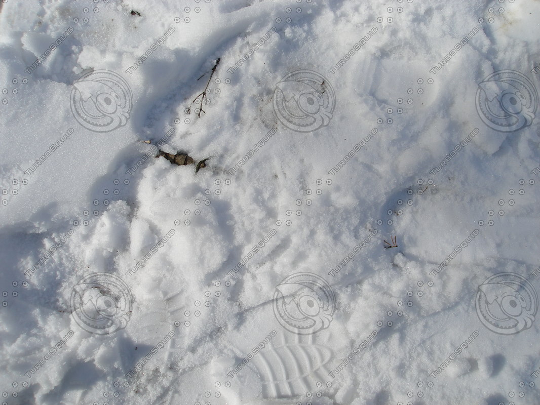 Texture JPEG snow white nieve