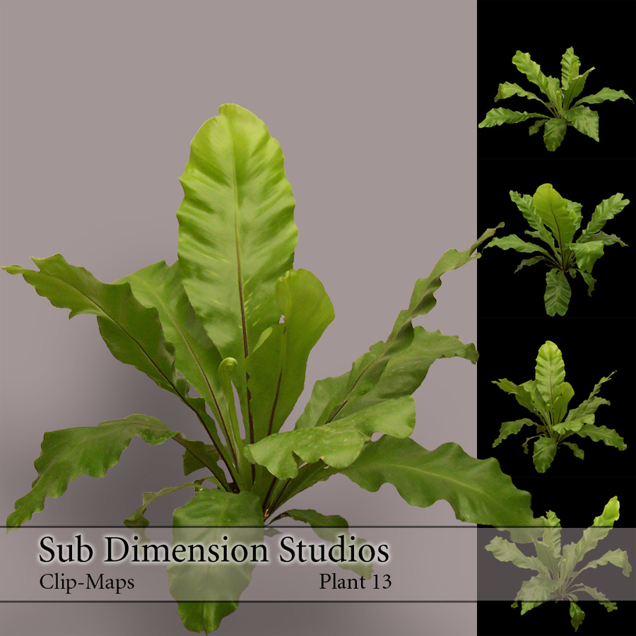 Texture JPEG plant house wild