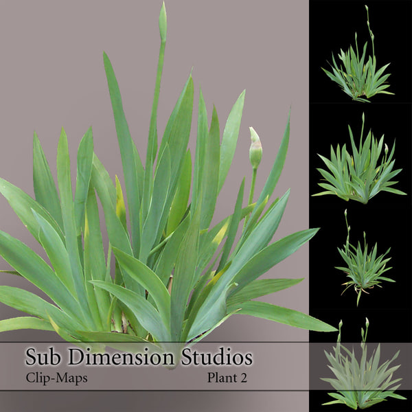 Texture JPEG plant house wild