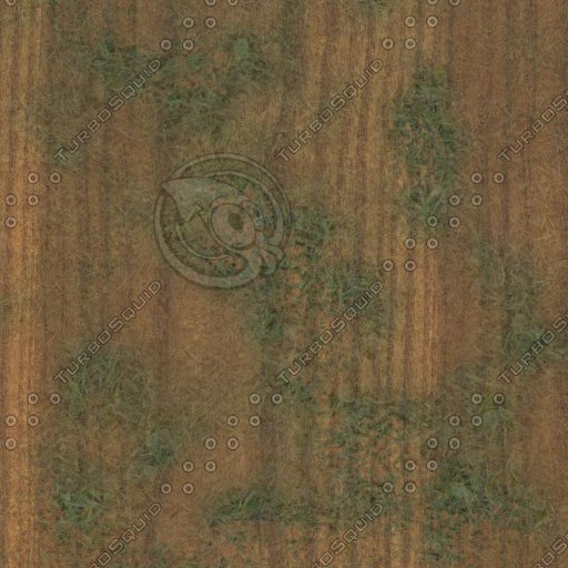 Texture Windows Bitmap Wood