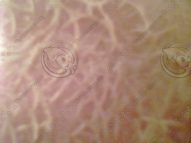 Texture Windows Bitmap Skin