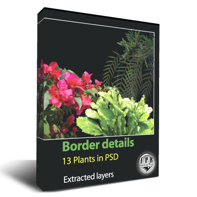 Stock Photoshop Plant ornaments extracted