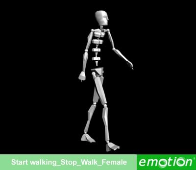 Motion male walk mocap