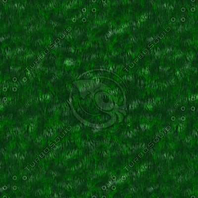 Texture Windows Bitmap fir tree