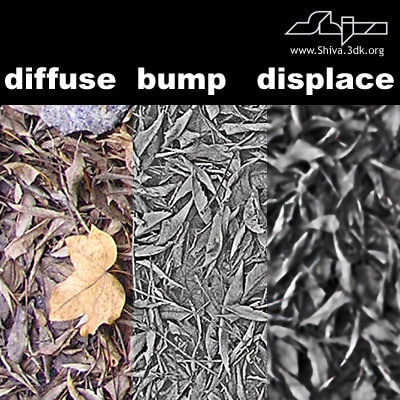 Texture JPEG Ground cover autumn