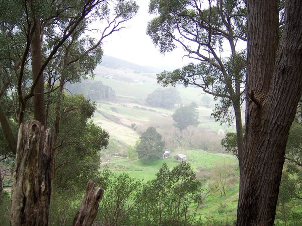 Stock JPEG gum valley hill