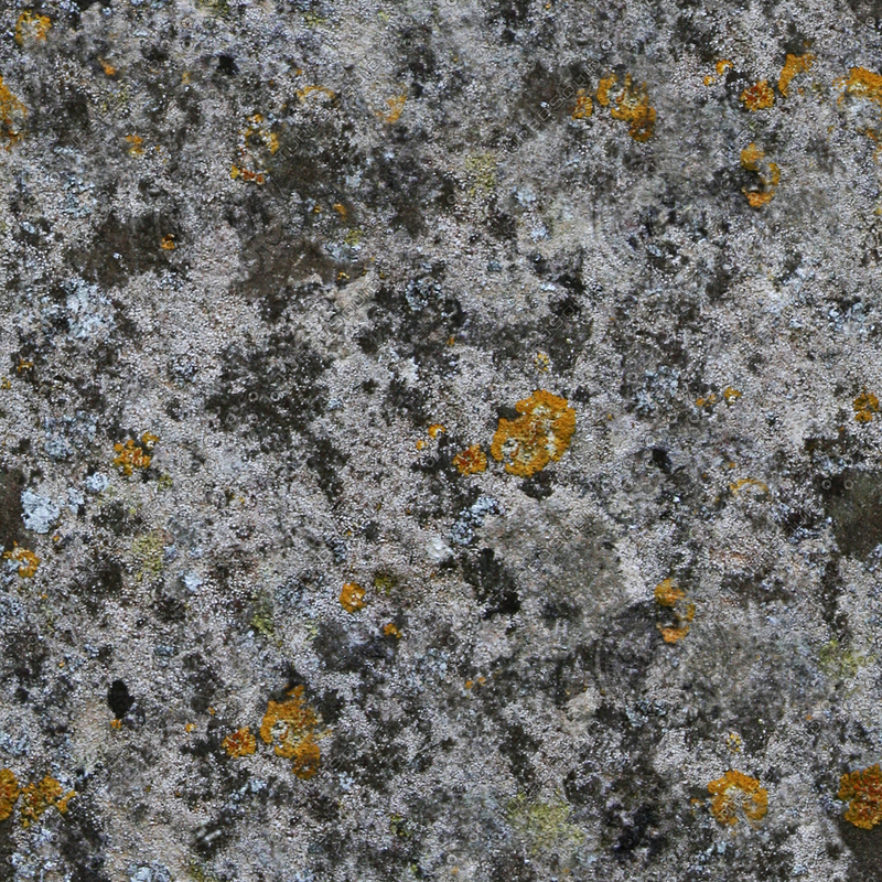 Texture JPEG wall gravestone tombstone