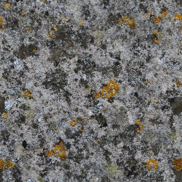 Texture JPEG wall gravestone tombstone