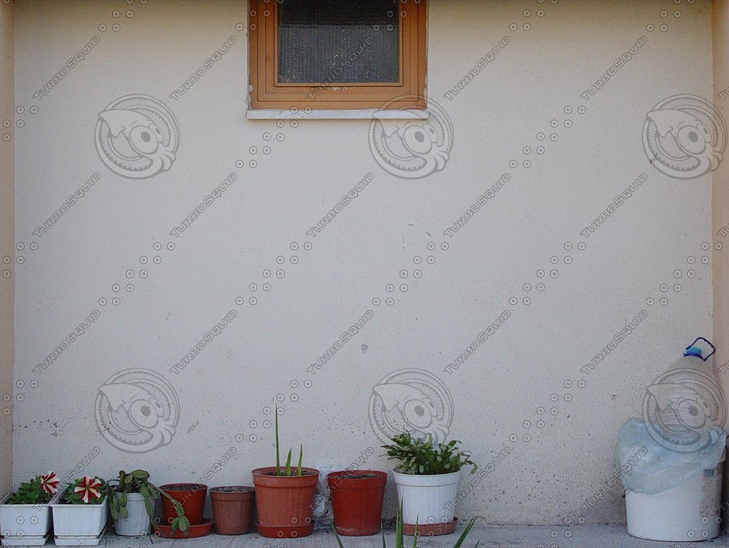 Texture JPEG wall window flower