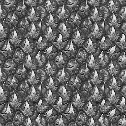 Texture JPEG pineapple bump fruit