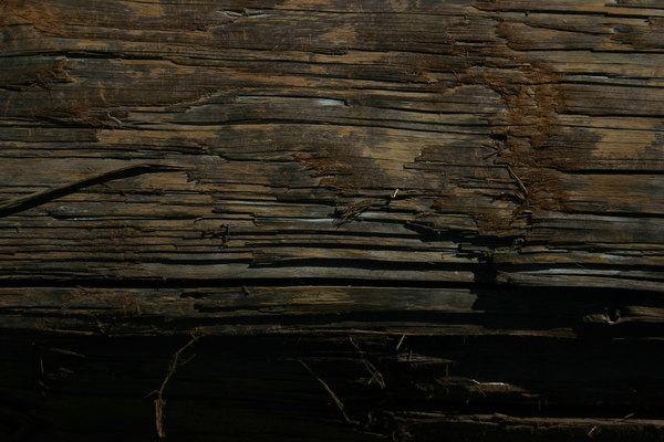 Texture JPEG wood rotted corroded