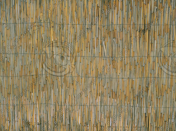 Texture JPEG rush cane reed