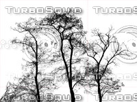 Texture JPEG Tree shadow map