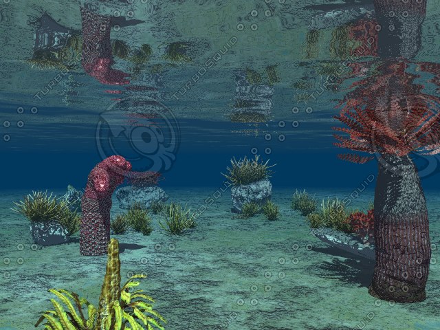 Stock Windows Bitmap Underwater water tropical