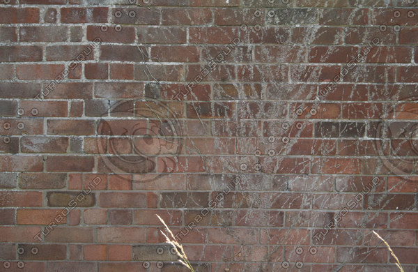 Texture JPEG brick Hi Res wall