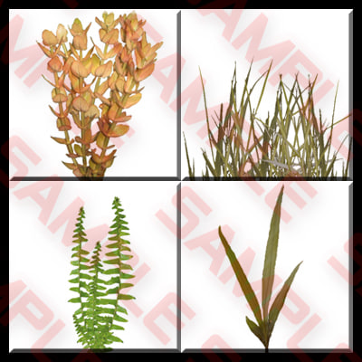 Texture JPEG tree billboard high