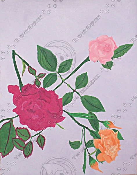 General JPEG Roses Collage flowers