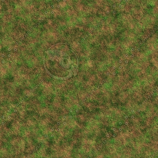 Texture JPEG Ground Seamless Grass