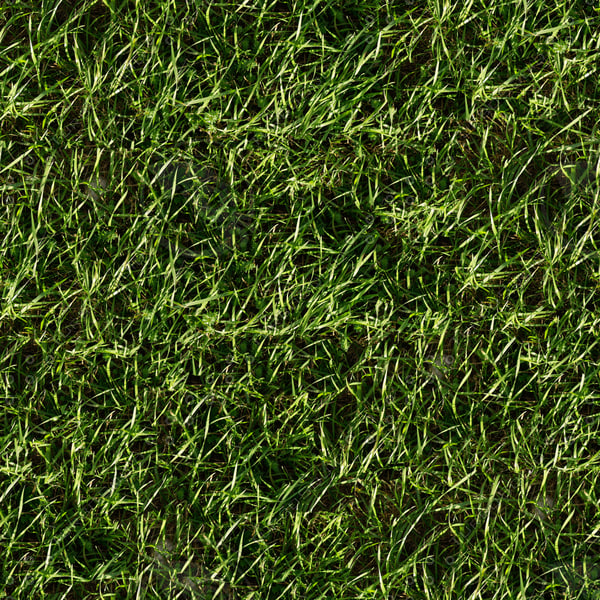 Texture JPEG grass ground green