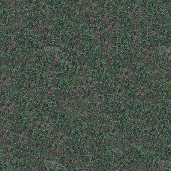 Texture JPEG grass ground green