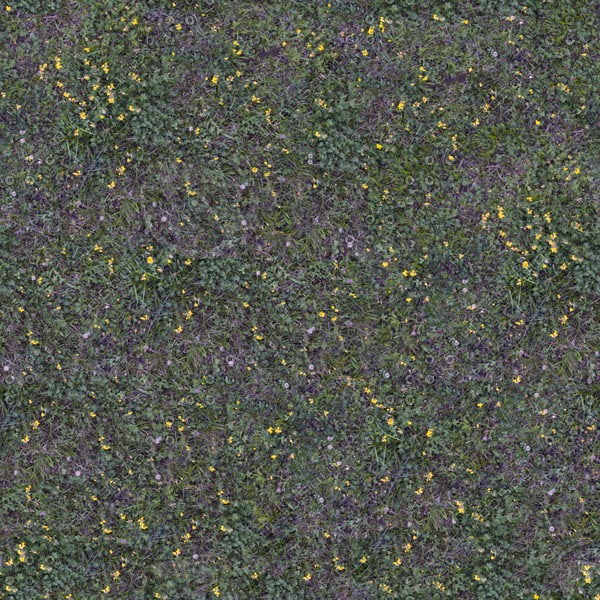 Texture JPEG grass ground green