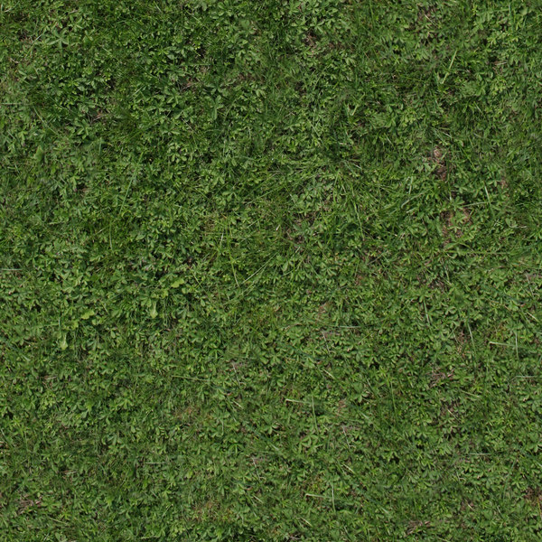 Texture JPEG Free Grass Ground