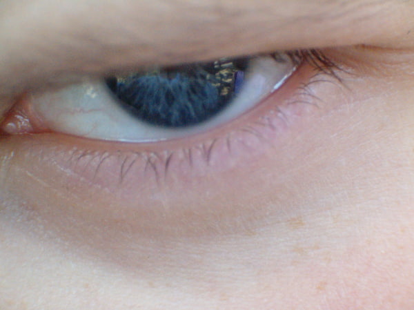 Stock JPEG eye eyeball blue