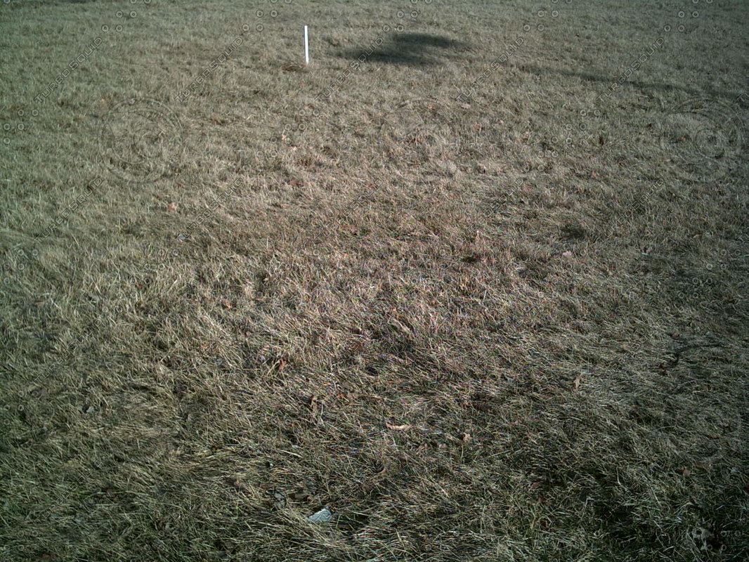 Stock JPEG grass ground green