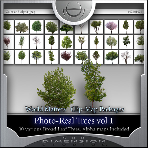 Texture JPEG tree trees broad