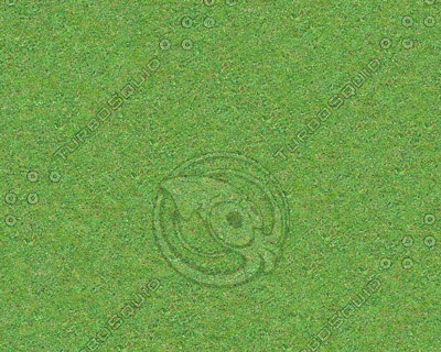 Texture JPEG texture gras grass