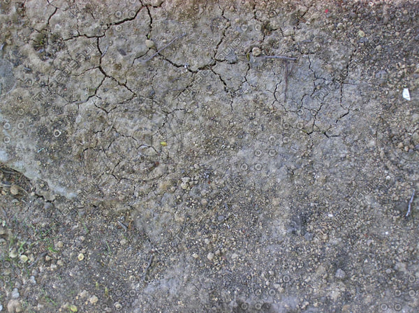 Texture JPEG Ground cover landscape