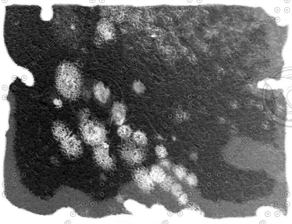 Texture JPEG texture dirt water